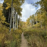 Desolation Lake via Mill D North Fork and Desolation Trail, Utah ...