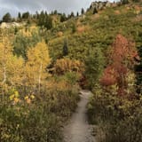 Emerald Lake via Mount Timpanogos Trail, Utah - 1,005 Reviews, Map ...