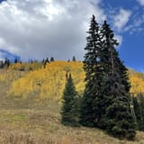 American Lake Trail, Colorado - 1,793 Reviews, Map | AllTrails