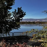 Galena Falls Trail, Nevada - 2,718 Reviews, Map | AllTrails