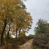 Bull Wheel to High Peter's Kill Trail, New York - 1,268 Reviews, Map ...