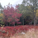 Bull Wheel to High Peter's Kill Trail, New York - 1,265 Reviews, Map ...