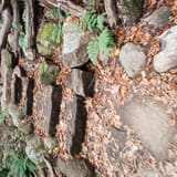 Mount Arab Trail, New York - 2,590 Reviews, Map | AllTrails