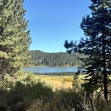 Spooner Lake Trail, Nevada - 2,158 Reviews, Map | AllTrails