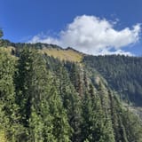 Tatoosh Ridge Trail, Washington - 443 Reviews, Map | AllTrails