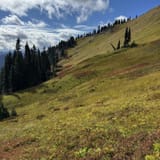 Tatoosh Ridge Trail, Washington - 443 Reviews, Map | AllTrails