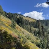 Tatoosh Ridge Trail, Washington - 443 Reviews, Map | AllTrails