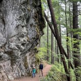 Silver Falls Loop, Washington - 4,185 Reviews, Map | AllTrails