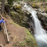 Silver Falls Loop, Washington - 4,185 Reviews, Map | AllTrails