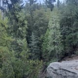 Heart Rock Trail, California - 3,511 Reviews, Map | AllTrails
