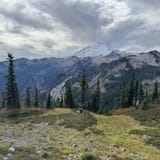 Huntoon Point via Artist Ridge Trail, Washington - 955 Reviews, Map ...