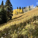 American Lake Trail, Colorado - 1,793 Reviews, Map | AllTrails