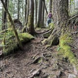 Index Town Wall Trail, Washington - 925 Reviews, Map | AllTrails