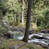Deception Falls Interpretive Trail, Washington - 672 Reviews, Map ...