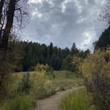 Eagle's View Trail Loop, Colorado - 3,335 Reviews, Map | AllTrails