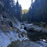Heart Creek Trail, Alberta, Canada - 3,828 Reviews, Map | AllTrails