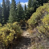Diamond Lake Trail, Colorado - 3,325 Reviews, Map | AllTrails