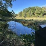 Hemlock Crossing Park, Michigan - 1,307 Reviews, Map | AllTrails