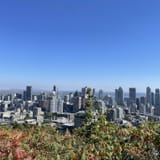 Mount Royal Park Loop, Quebec, Canada - 2,256 Reviews, Map | AllTrails