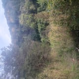 North Sylamore Creek Trail, Arkansas - 272 Reviews, Map | AllTrails