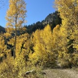 Silver Fork Trail, Utah - 133 Reviews, Map | AllTrails