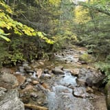 Basin Cascade Trail, New Hampshire - 2,465 Reviews, Map | AllTrails