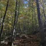 Catamount Hill Trail and One Mile Trail Loop, New Hampshire - 643 ...