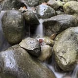 Quarry Rock Lookout from Deep Cove, British Columbia, Canada - 4,592 ...