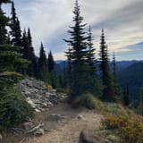 Naches Peak Loop Trail, Washington - 5,966 Reviews, Map | AllTrails