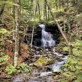 Seneca Creek Trail, West Virginia - 339 Reviews, Map | AllTrails