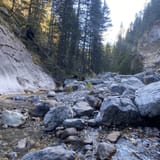 Heart Creek Trail, Alberta, Canada - 3,831 Reviews, Map | AllTrails
