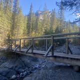 Heart Creek Trail, Alberta, Canada - 3,828 Reviews, Map | AllTrails