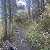 Heart Creek Trail, Alberta, Canada - 3,852 Reviews, Map | AllTrails