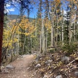 North Mount Elbert Trail, Colorado - 7,269 Reviews, Map | AllTrails
