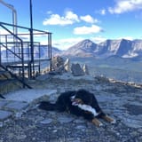 Raspberry Ridge Lookout Loop, Alberta, Canada - 602 Reviews, Map ...