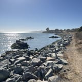 Albany Bulb, California - 392 Reviews, Map | AllTrails
