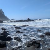 Hidden Beach Trail from Hwy 101, California - 120 Reviews, Map | AllTrails