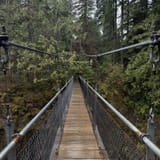Drift Creek Suspension Bridge and Waterfall (Trail #1378), Oregon ...