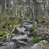 Killington Peak via Bucklin Trail, Vermont - 2,091 Reviews, Map | AllTrails