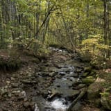 Killington Peak via Bucklin Trail, Vermont - 2,091 Reviews, Map | AllTrails