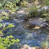 Rapid River Trail, Idaho - 260 Reviews, Map | AllTrails