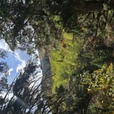 Armstrong Trail to Dawns Trail Loop, Utah - 3,310 Reviews, Map | AllTrails