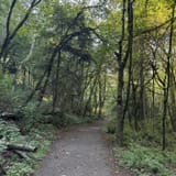 Discovery Park and Lighthouse Loop, Washington - 7,662 Reviews, Map ...