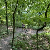 Neversink Loop Trail, Pennsylvania - 1,261 Reviews, Map | AllTrails