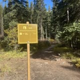 Castle Mountain Lookout Trail, Alberta, Canada - 2,225 Reviews, Map ...