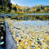 Desolation Lake via Mill D North Fork and Desolation Trail, Utah ...