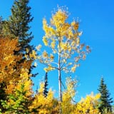 Tony Grove Nature Trail, Utah - 253 Reviews, Map | AllTrails