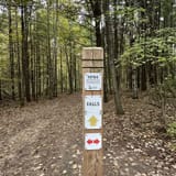 Hilton Falls Trail, Ontario, Canada - 2,714 Reviews, Map | AllTrails