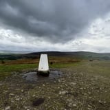 Nicky Nook Circular, Lancashire, England - 1,242 Reviews, Map | AllTrails