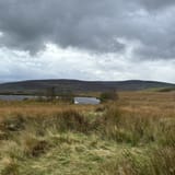 Nicky Nook Circular, Lancashire, England - 1,242 Reviews, Map | AllTrails